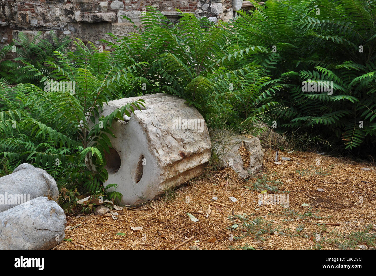 Ruins obscured by overgrown plants. Broken ancient greek column Stock ...