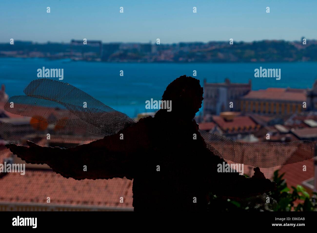 Man looking out at the view Stock Photo - Alamy