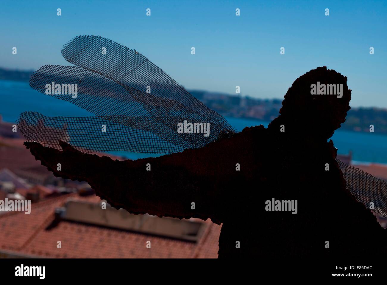 Man looking out at the view Stock Photo - Alamy