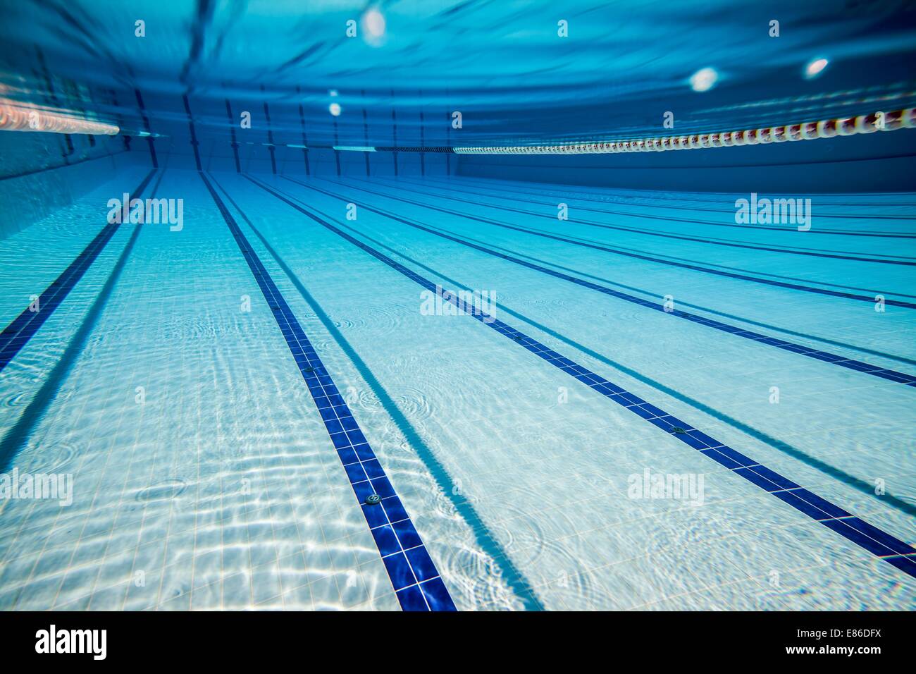 swimming pool under water Stock Photo - Alamy