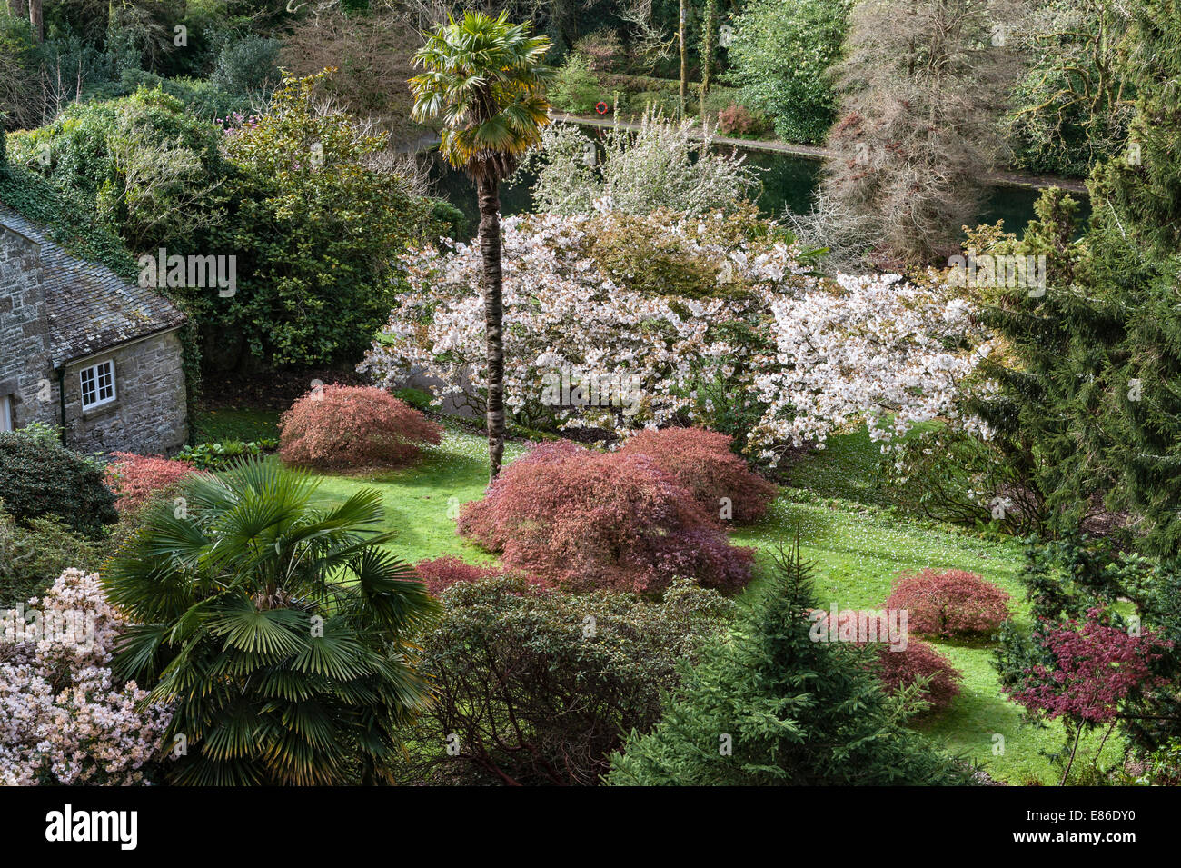 The famous gardens of the Trevarno Estate, Helston, Cornwall, now ...