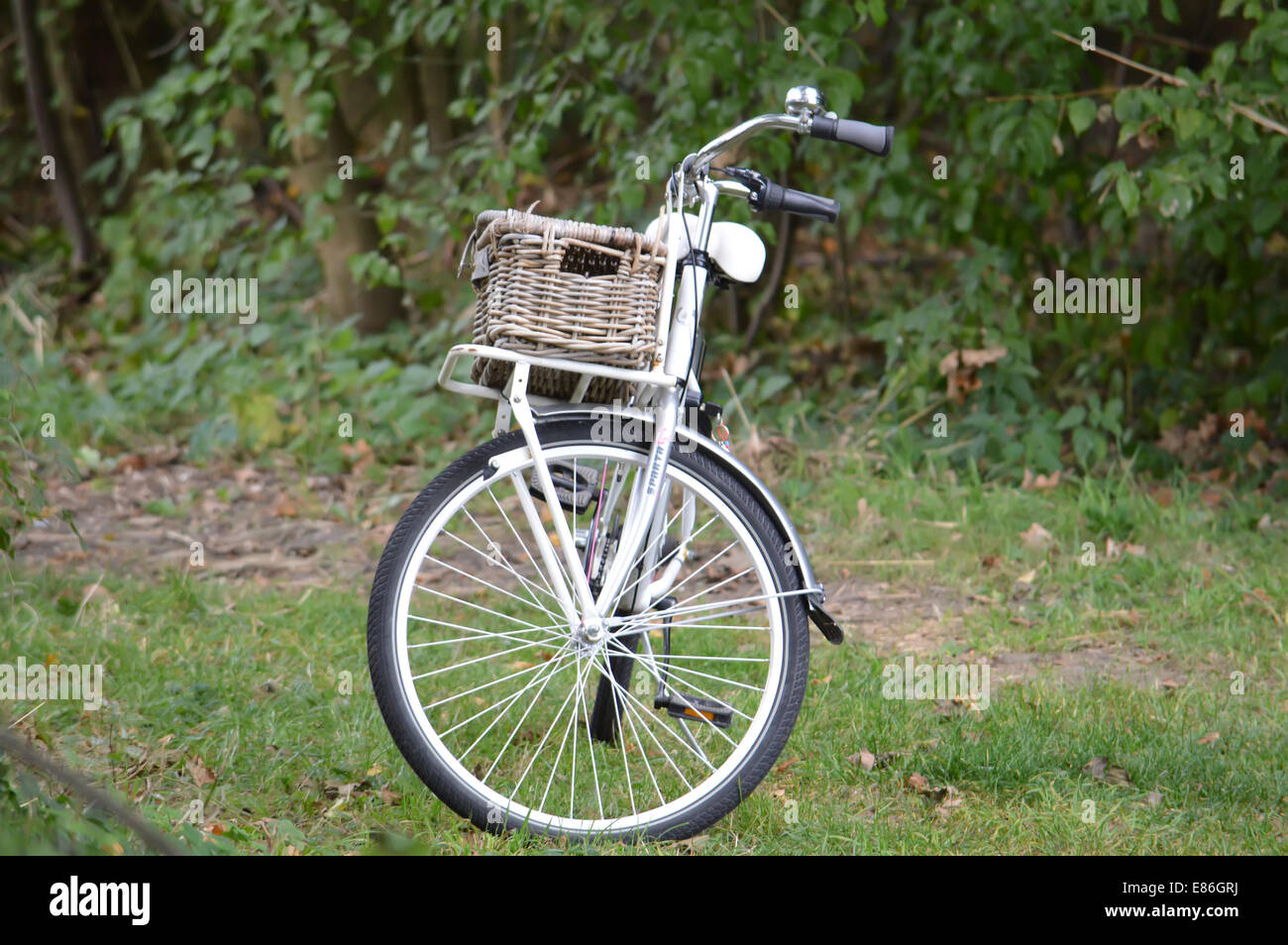 Bike standing on grass Stock Photo - Alamy