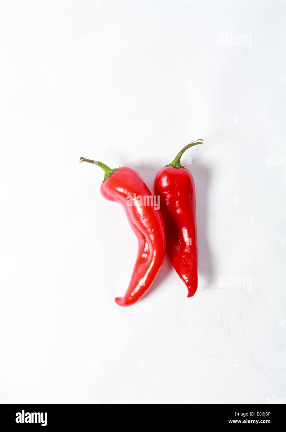 Two red peppers on white background Stock Photo - Alamy