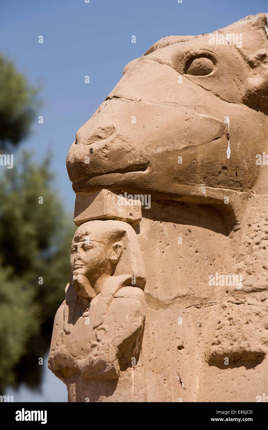 Carved rams head hi-res stock photography and images - Alamy