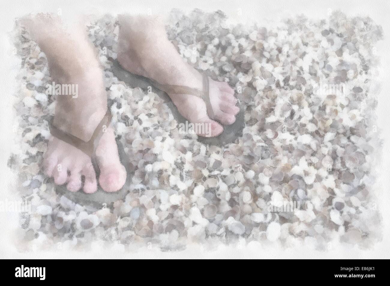 Stylized shells hi-res stock photography and images - Alamy