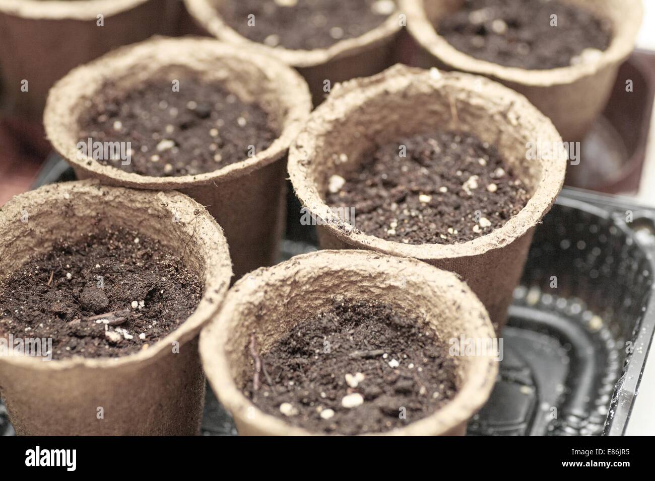 Fresh Ground In A Flowerpot Stock Photo - Alamy