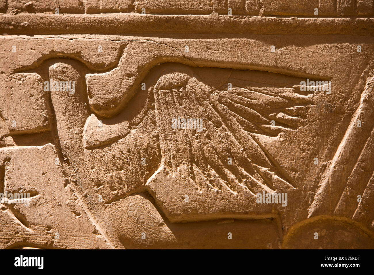 E497Egypt, Luxor, Karnak Temple, bas relief of bird in flight Stock ...