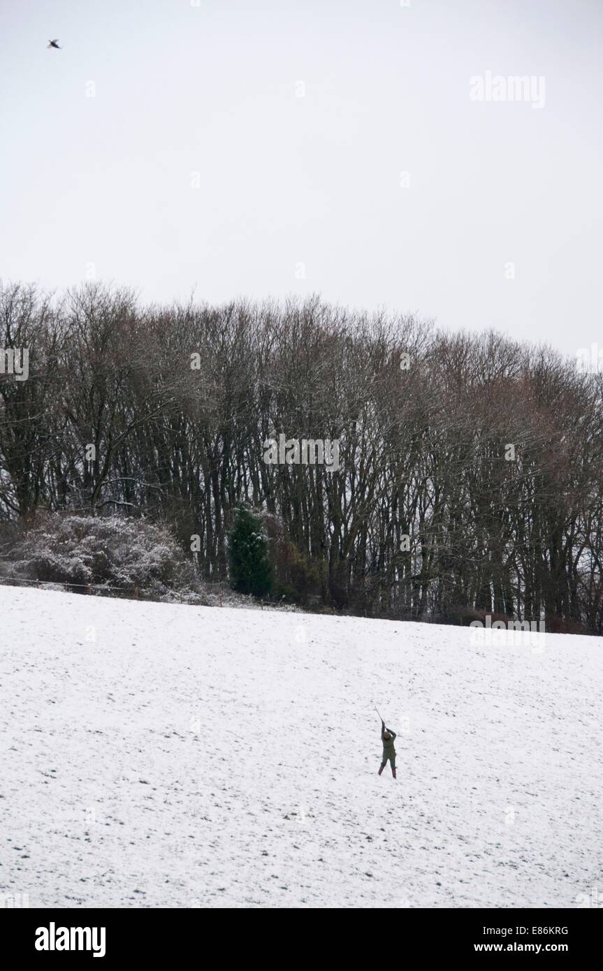 A hunter shooting in a field Stock Photo - Alamy