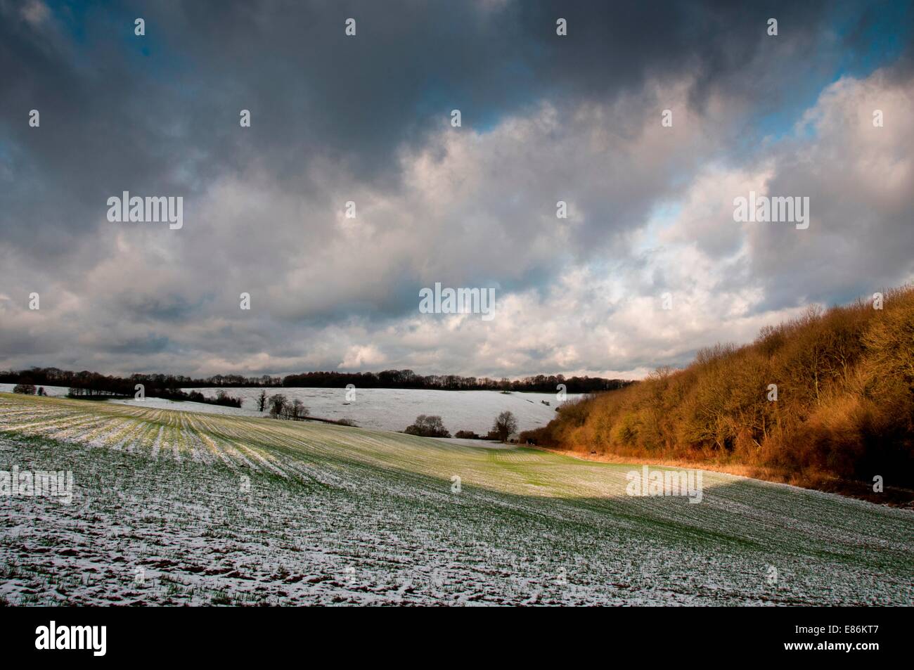 A winter landscape of a farmers field Stock Photo - Alamy