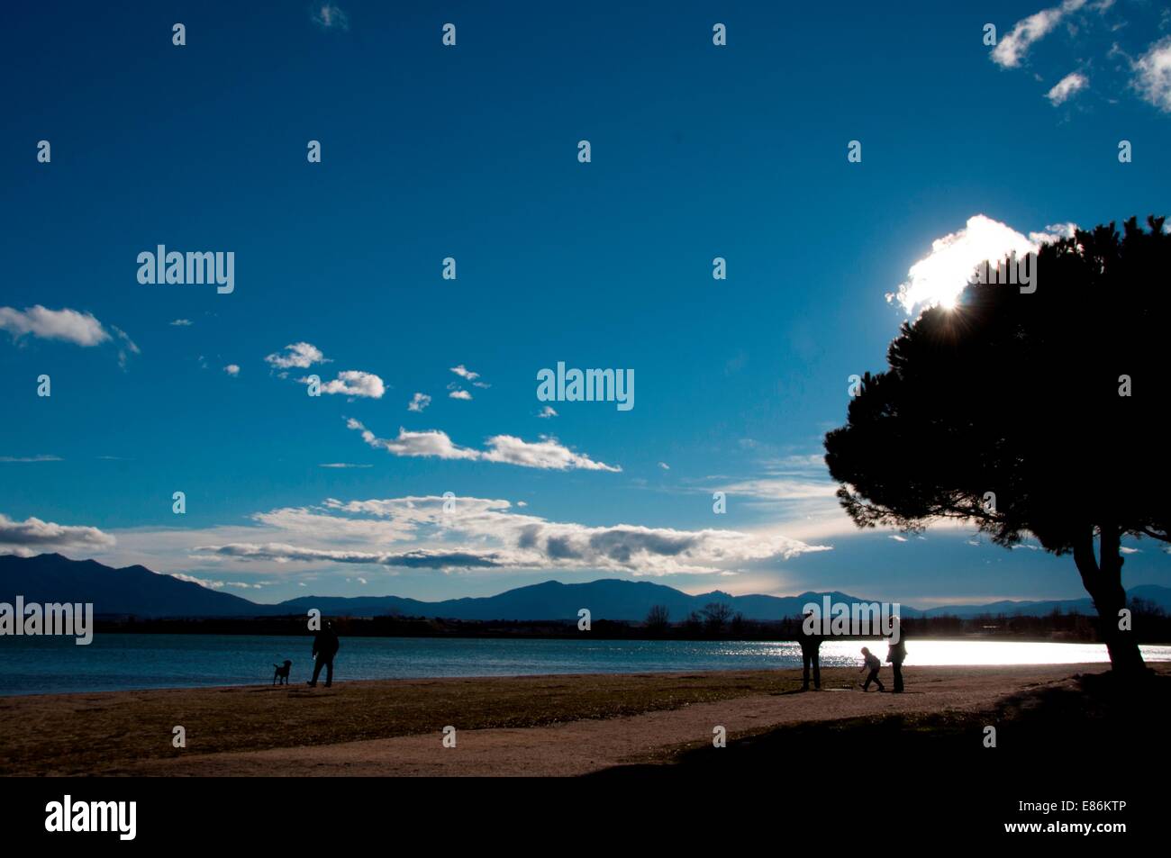 Dog retrieve silhouette hi-res stock photography and images - Alamy