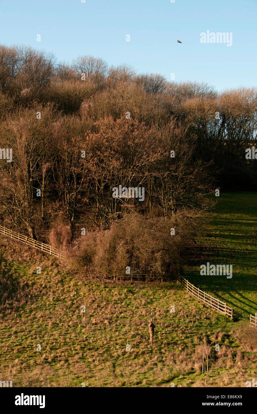 A landscape with trees and a field Stock Photo - Alamy