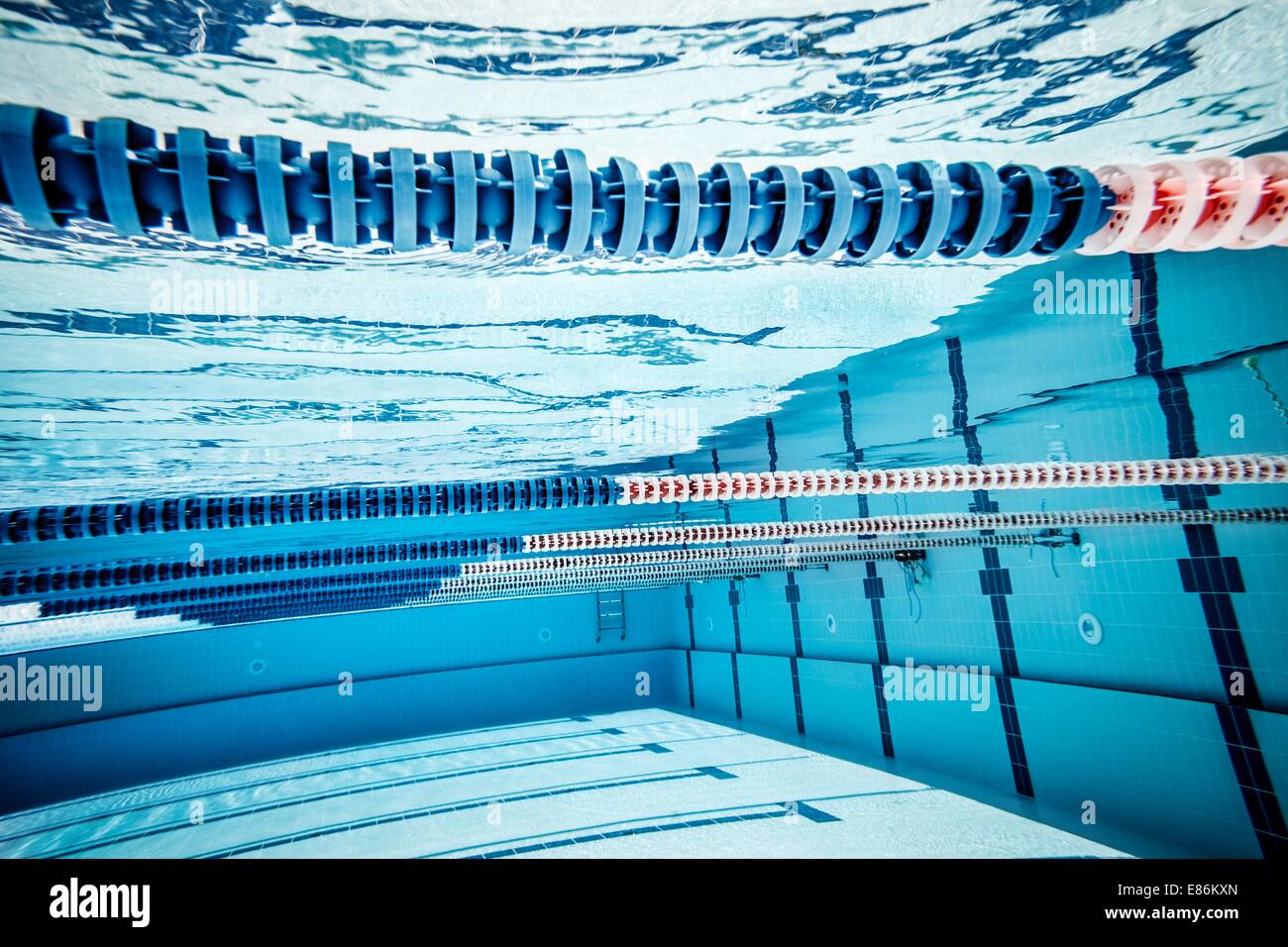 swimming pool under water Stock Photo - Alamy