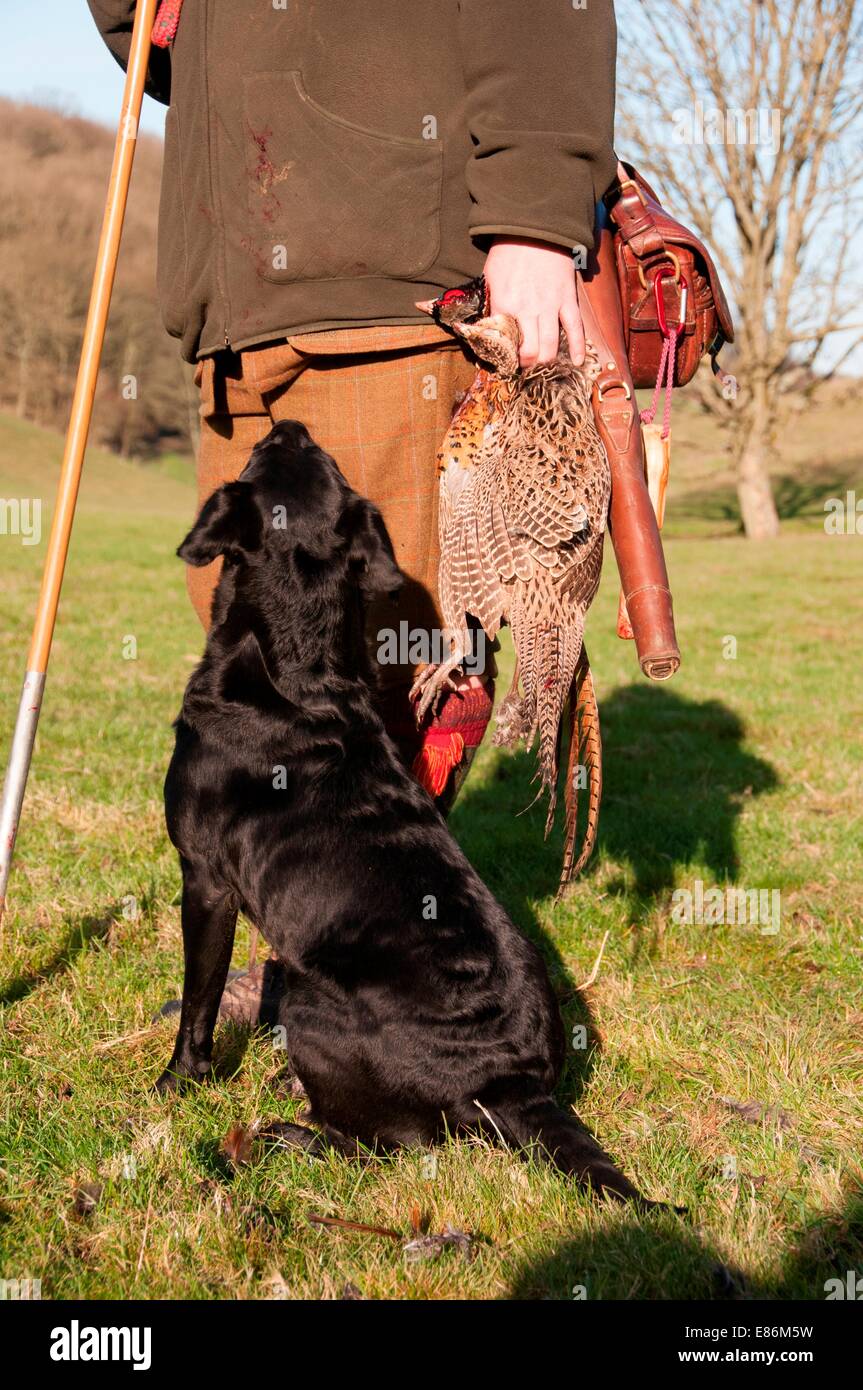A hunter and his dog after a sucesful shoot Stock Photo - Alamy