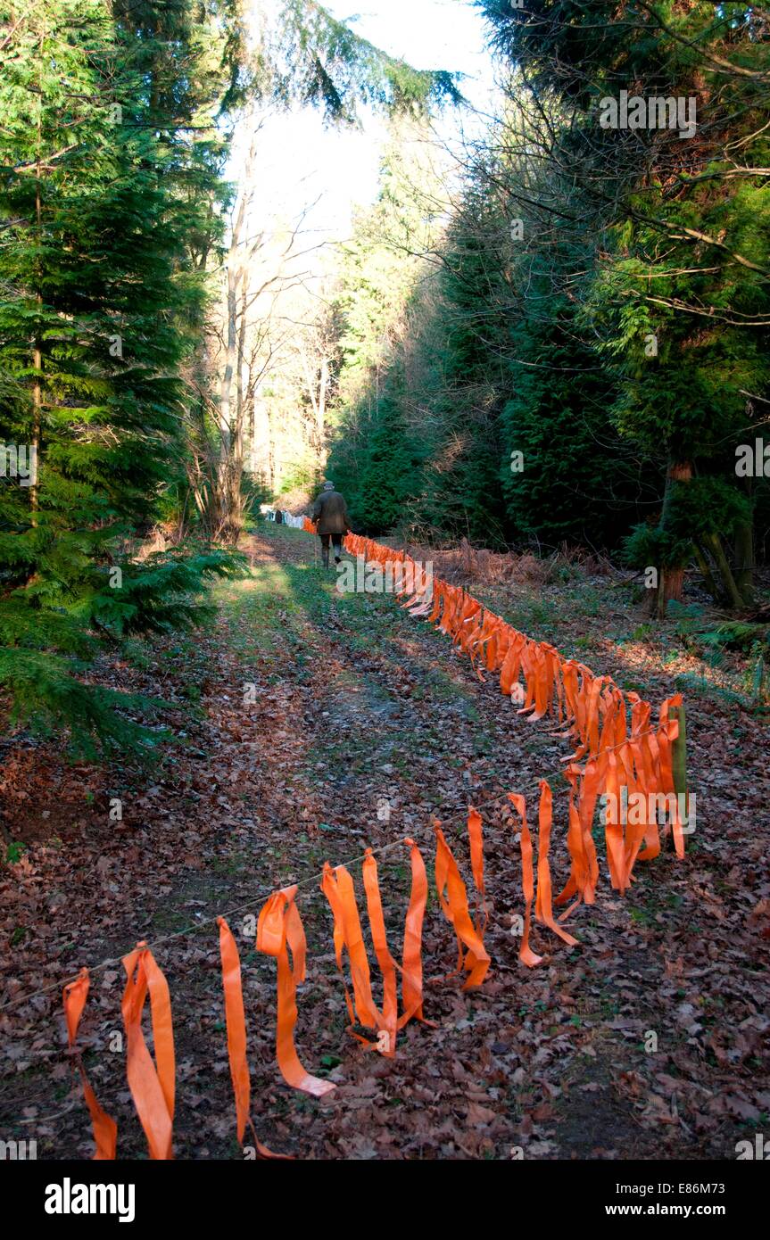 Restricted area in a woodlands Stock Photo - Alamy