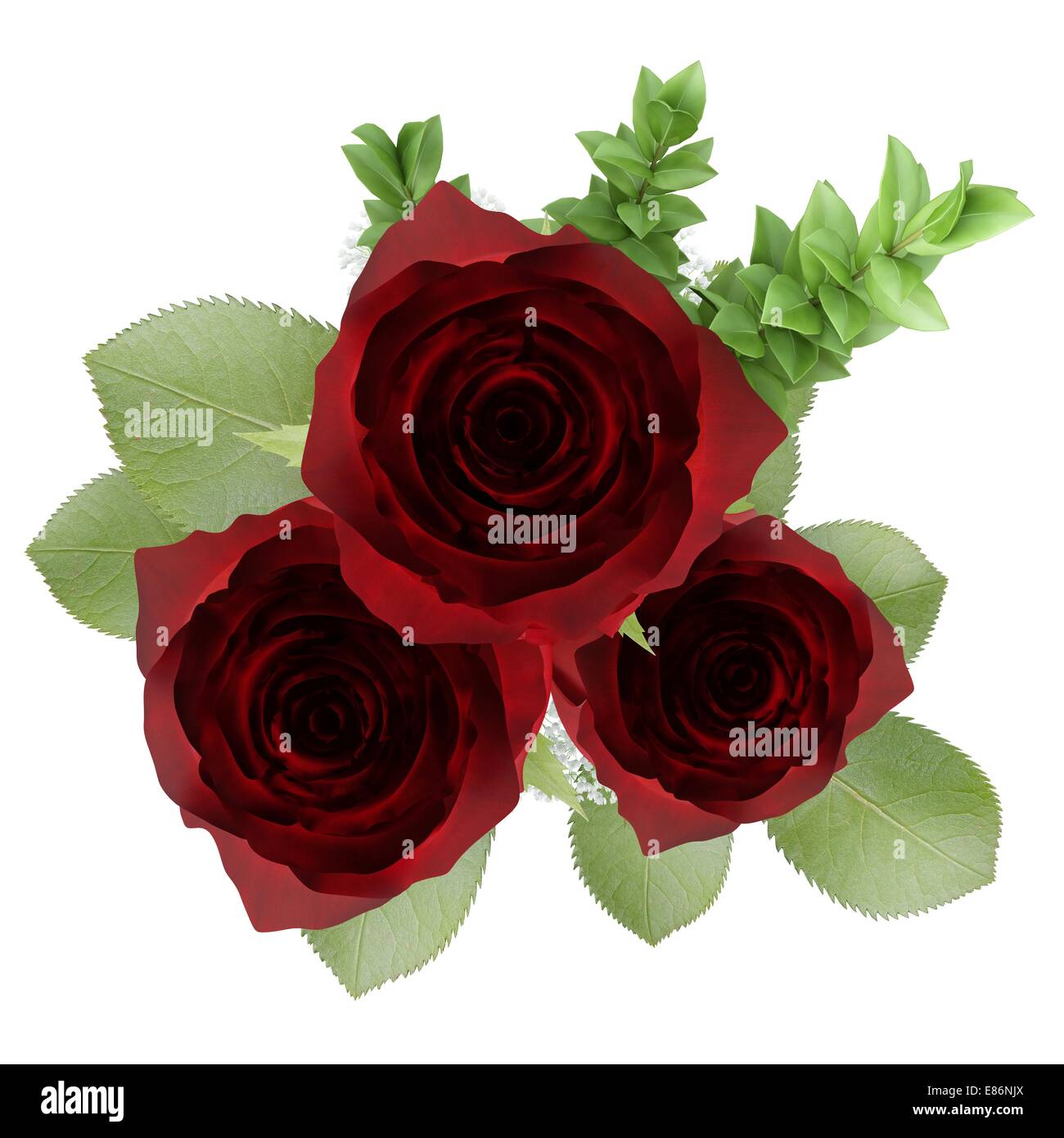 top view of three red roses in vase isolated on white background Stock ...