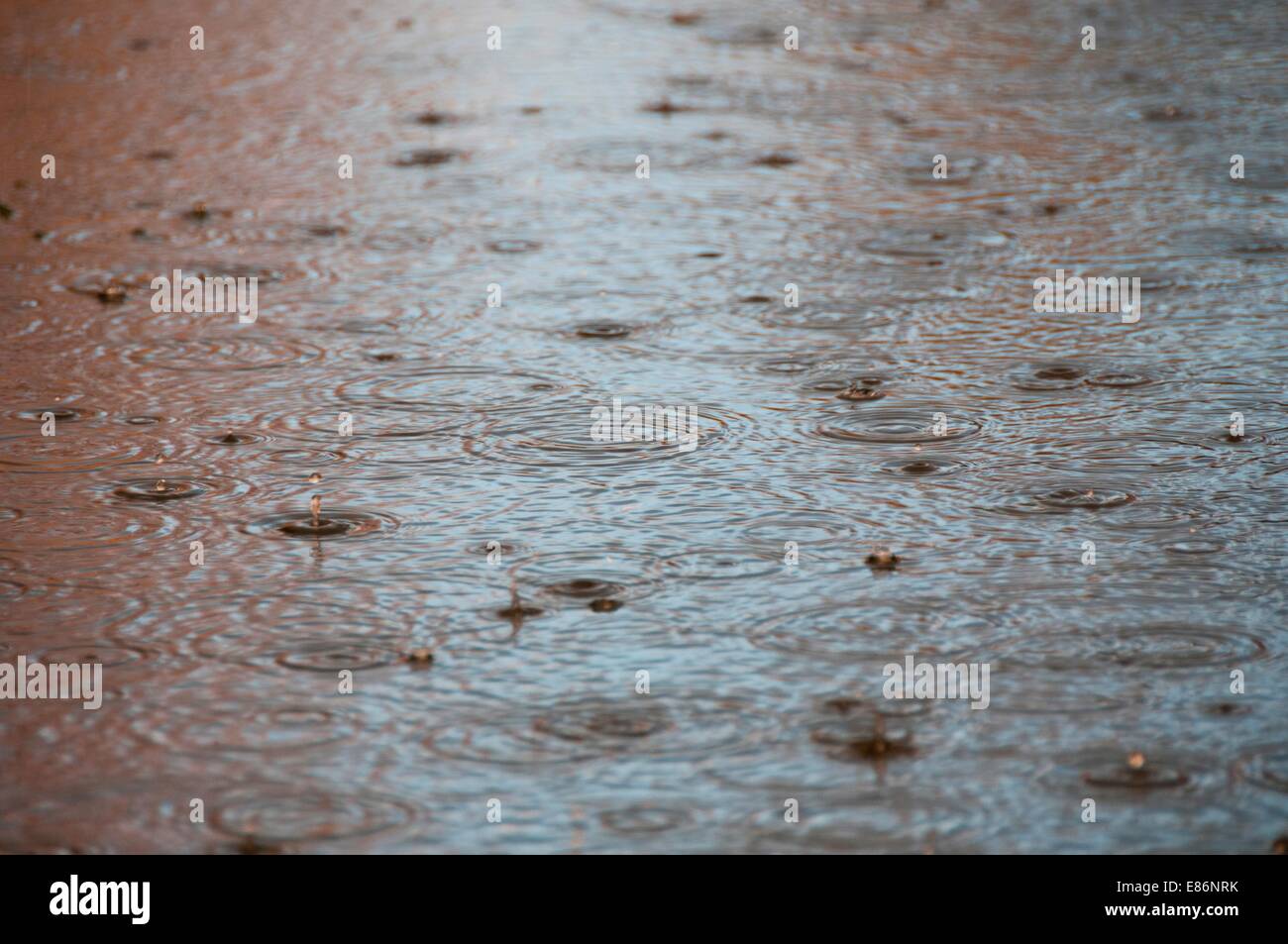 Raindrops splash in a puddle hi-res stock photography and images - Alamy