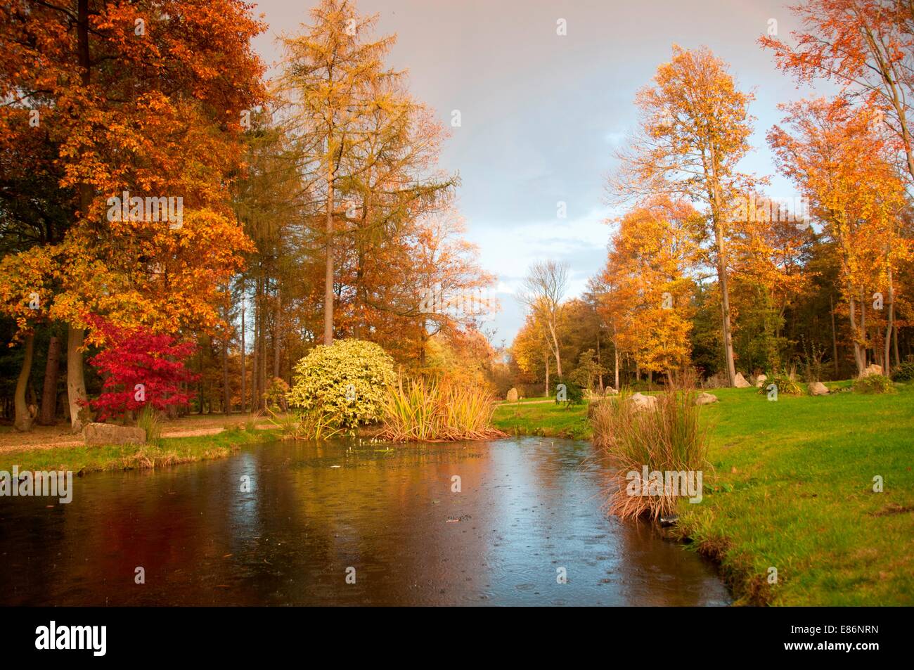Autumn scene with river Stock Photo - Alamy