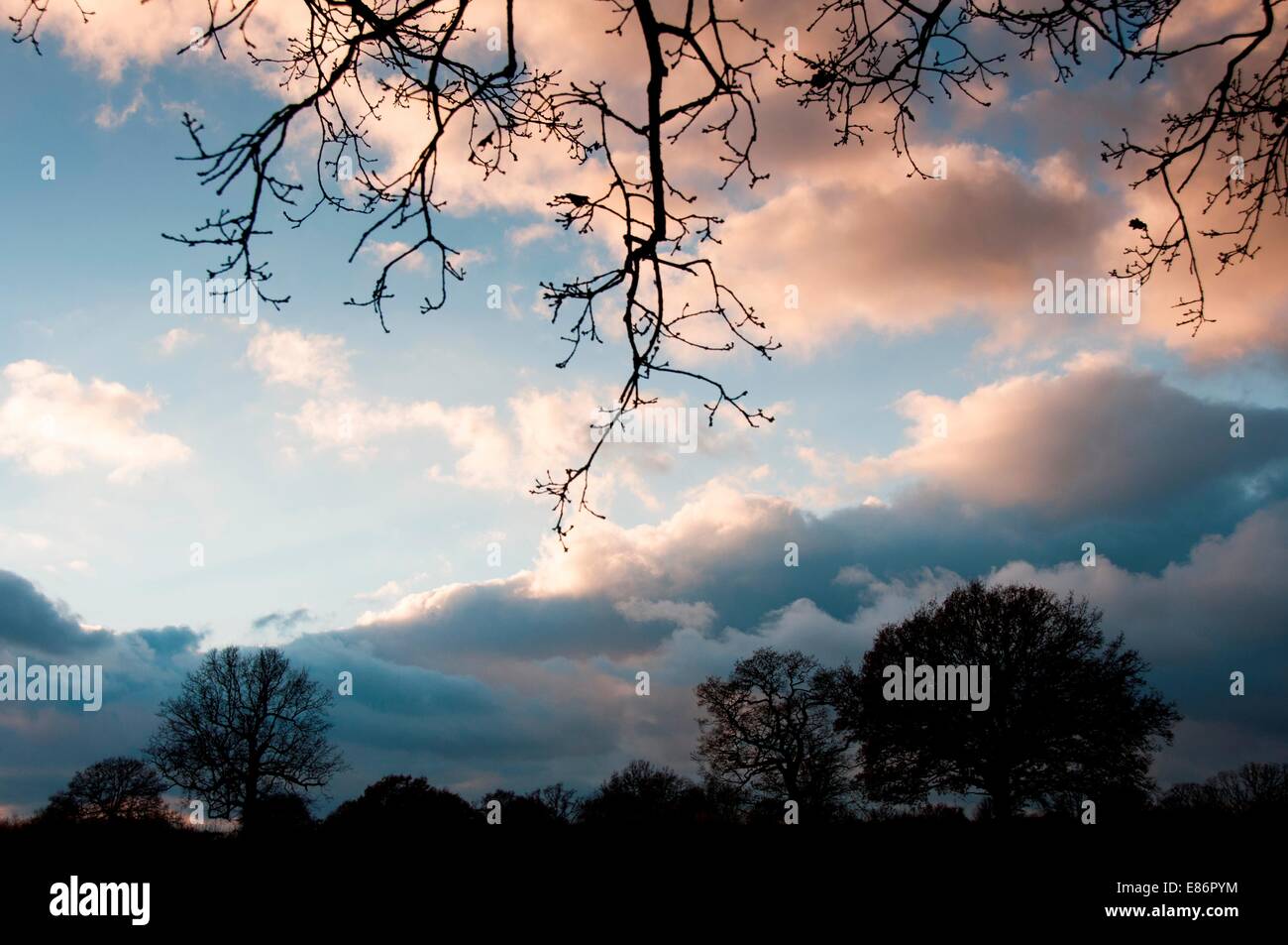 A cloud landscape Stock Photo - Alamy