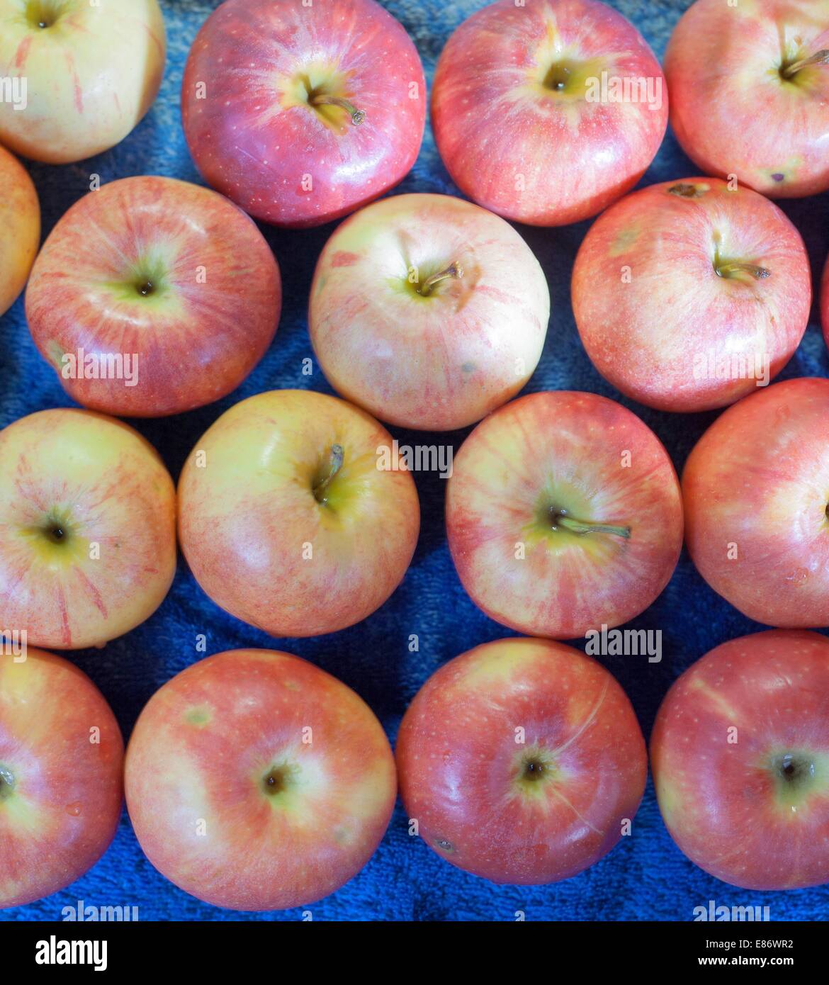 a lot of apples in market place for background. Closeup of many red ...
