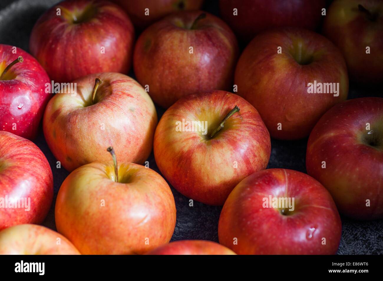 Many fresh natural organic apples candid shot - ripe fresh apple ...