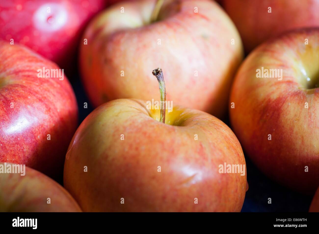 Many fresh natural organic apples candid shot. fresh apple - abstract ...