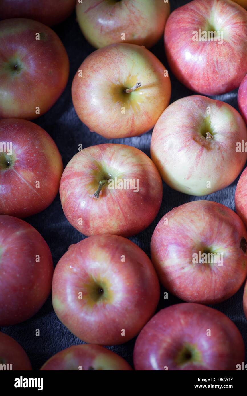 juicy red violet pink apples, close up Stock Photo - Alamy