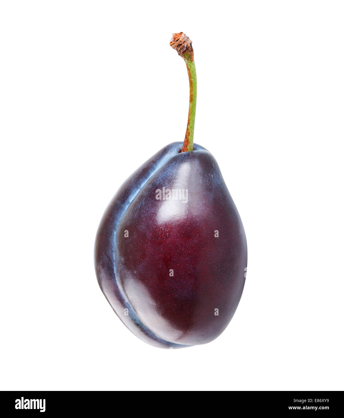 One ripe plum isolated on white background Stock Photo - Alamy