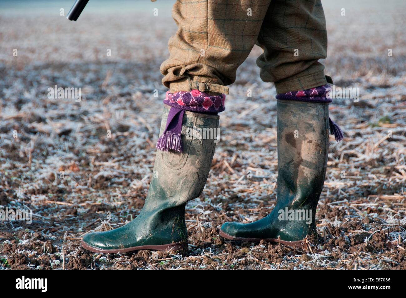 In the Countryside Stock Photo - Alamy