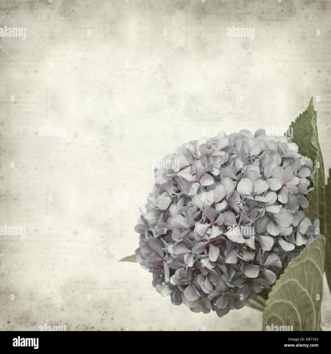 Textured old paper background blue hi-res stock photography and images ...
