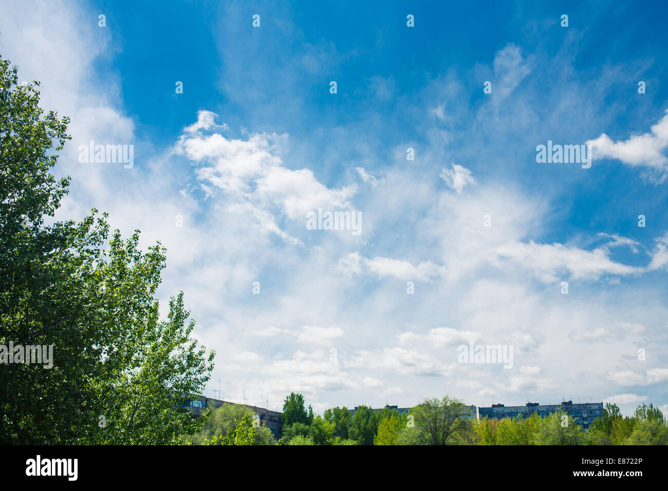 sky and trees Stock Photo - Alamy