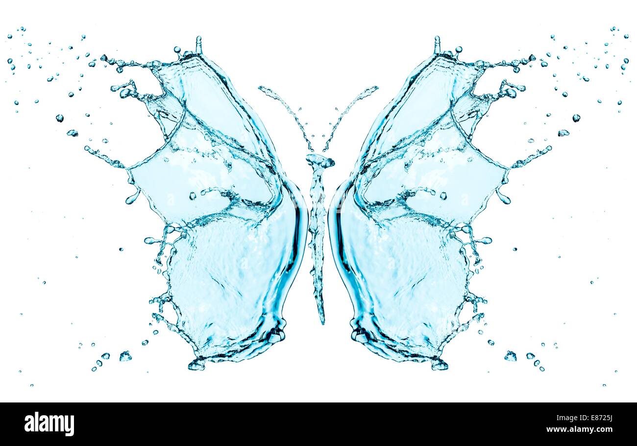 Butterfly splashing water isolated on a white background Stock Photo ...