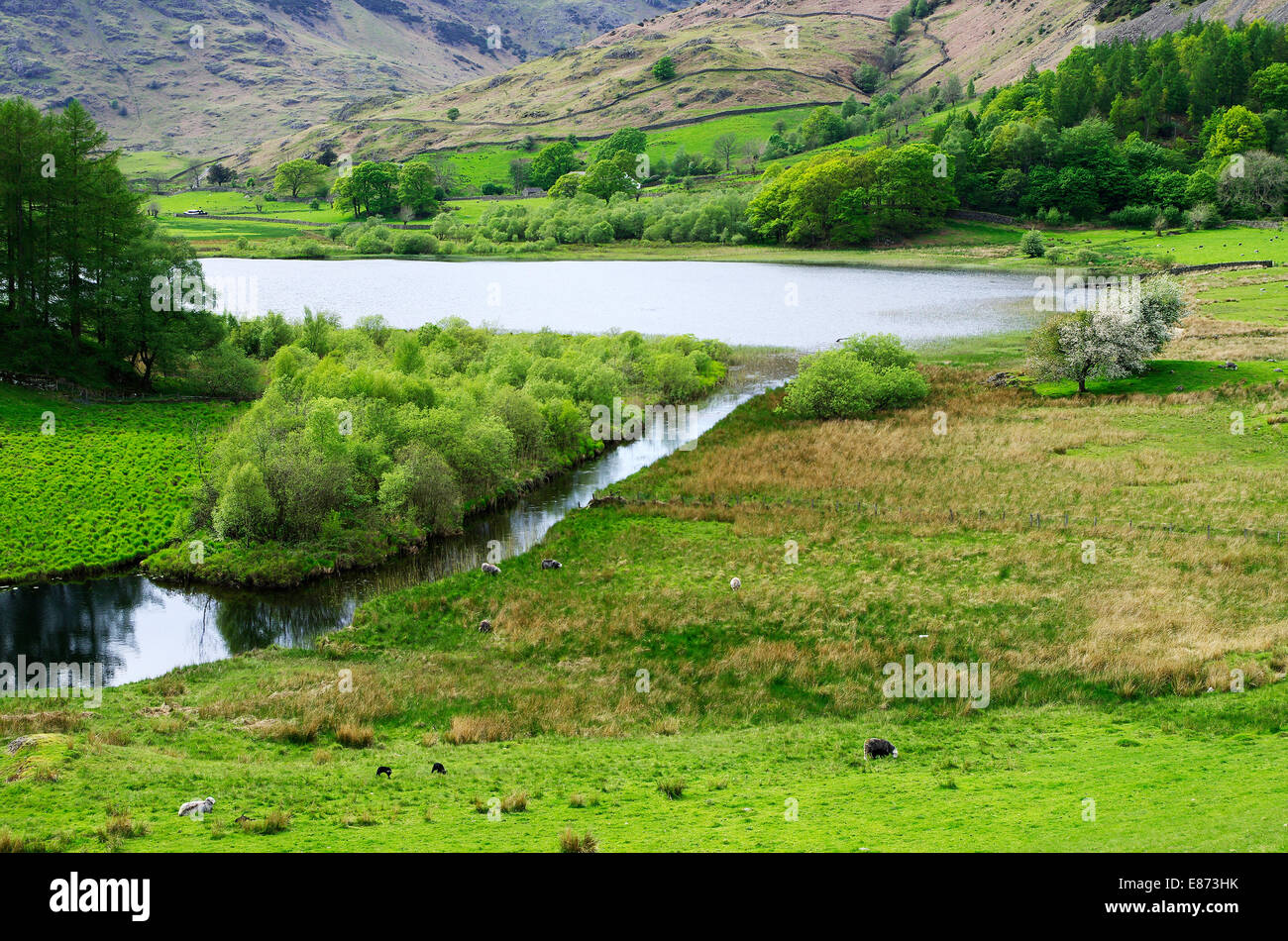Little Langdale Tarn, Little Langdale, Lake District National Park ...