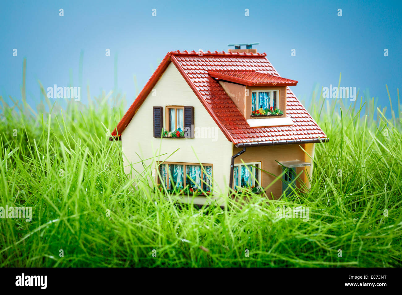 Little House on the green grass Stock Photo - Alamy