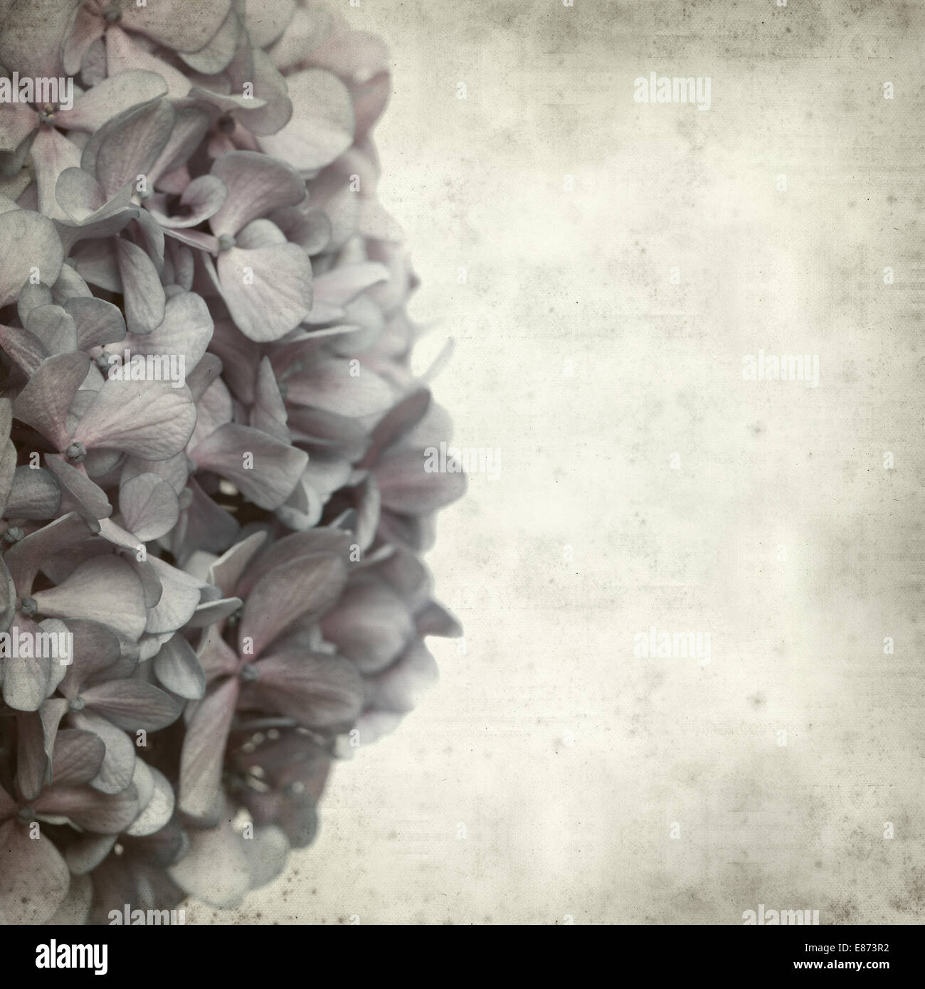 Textured old paper background blue hi-res stock photography and images ...