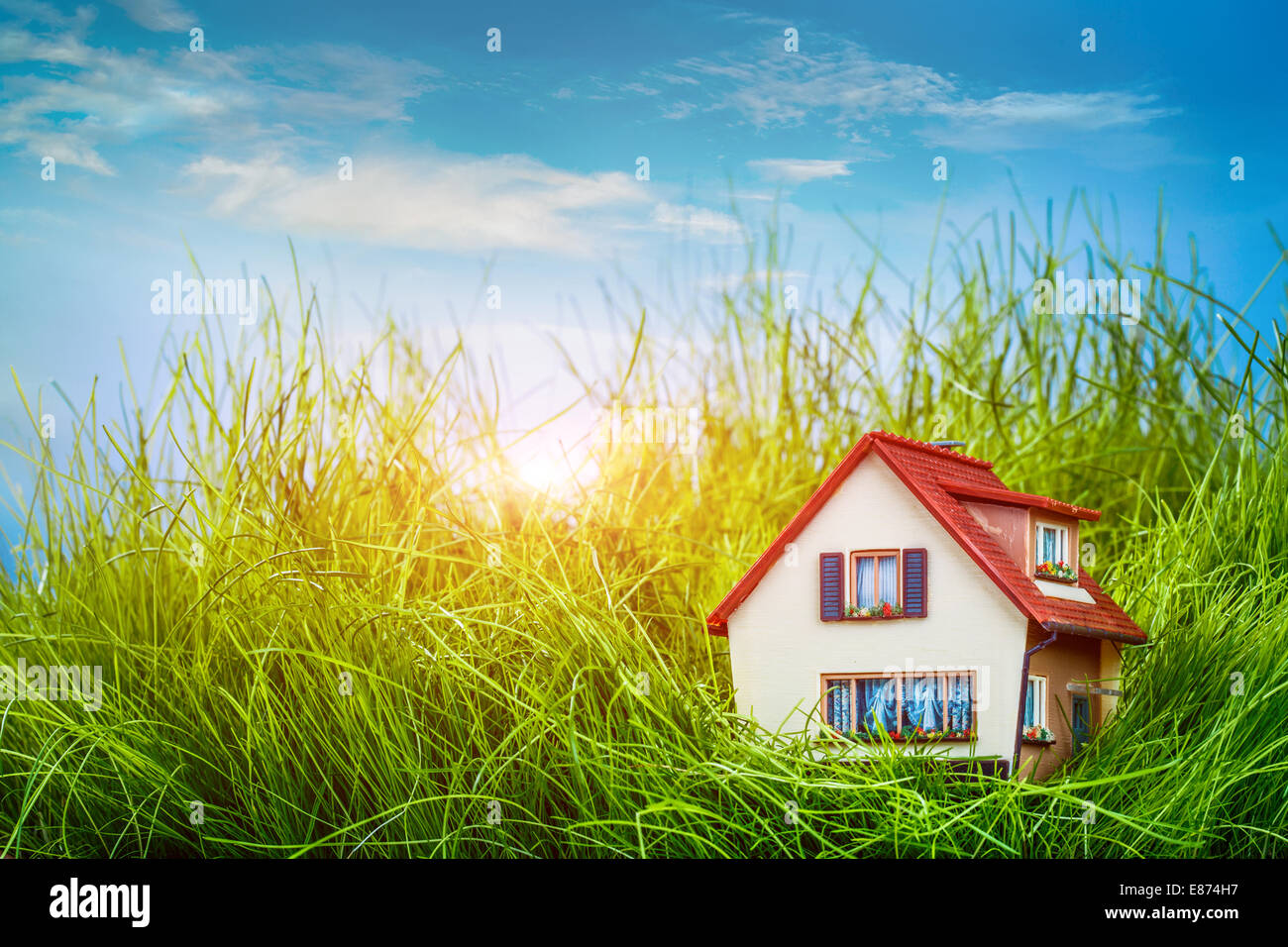 Little House on the green grass Stock Photo - Alamy
