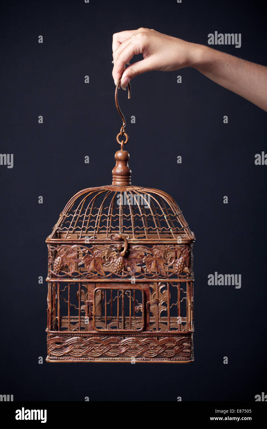 vintage birdcage in female hand isolated on dark background Stock Photo ...