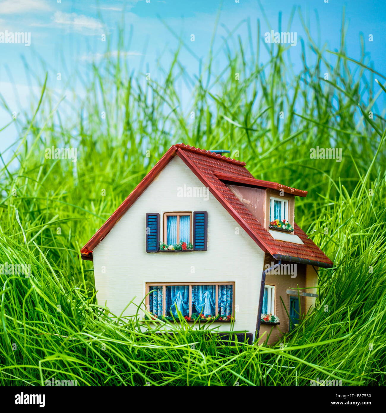 Little House on the green grass Stock Photo - Alamy