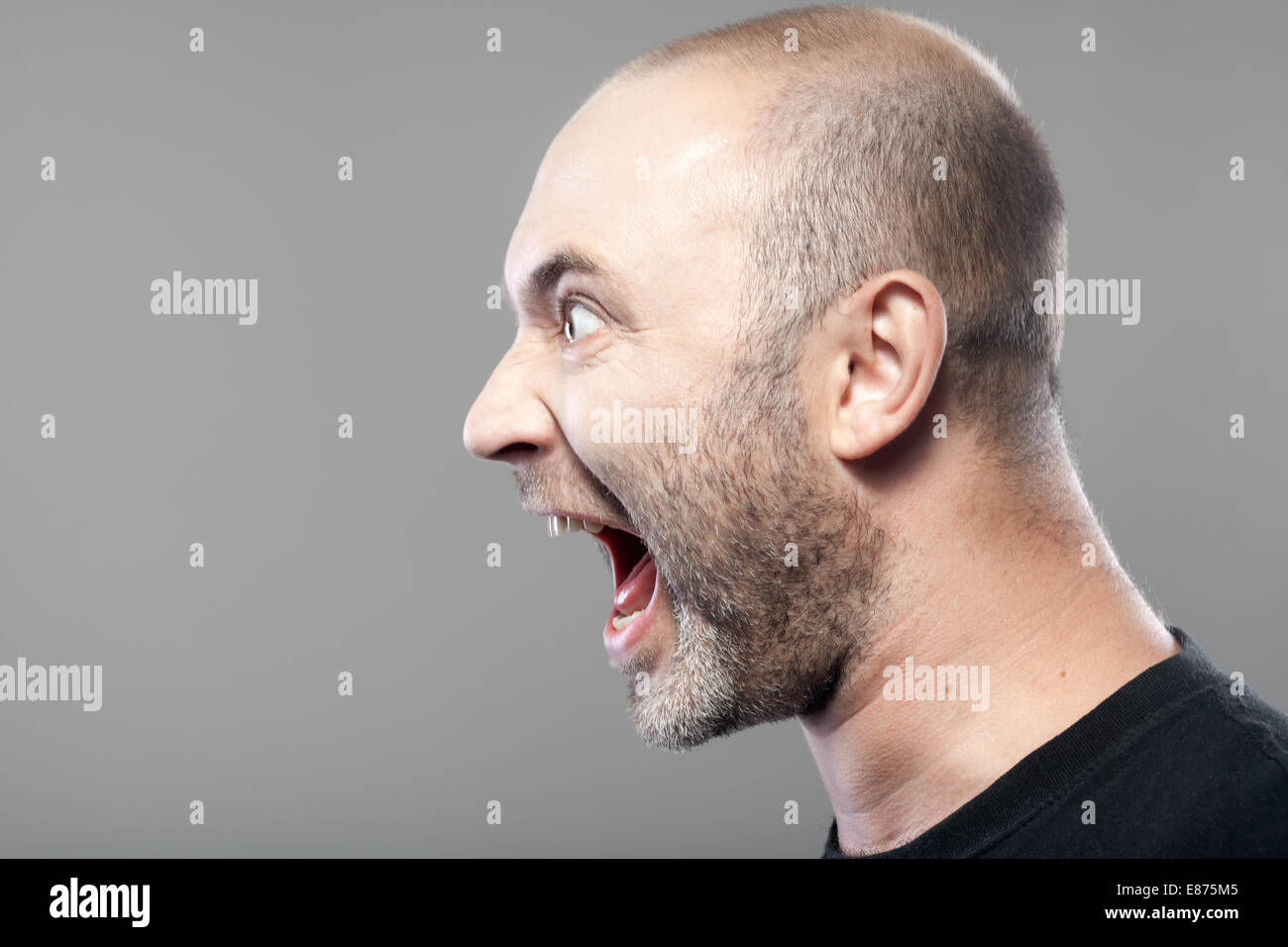 portrait of angry man screaming isolated on gray background with ...