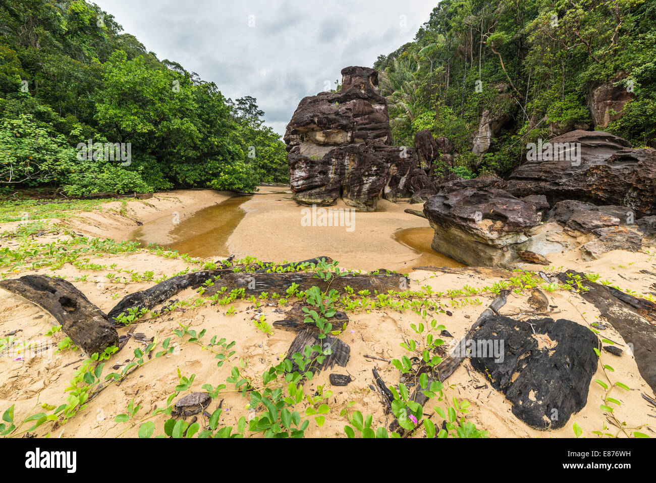 Backwaters, rocks and jungle in Bako National Park, West Sarawak ...