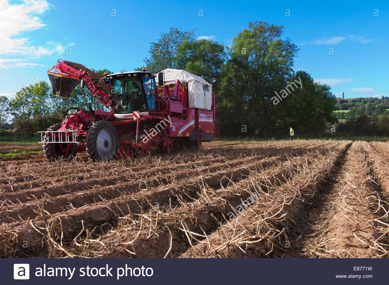 Potato Picker High Resolution Stock Photography and Images - Alamy