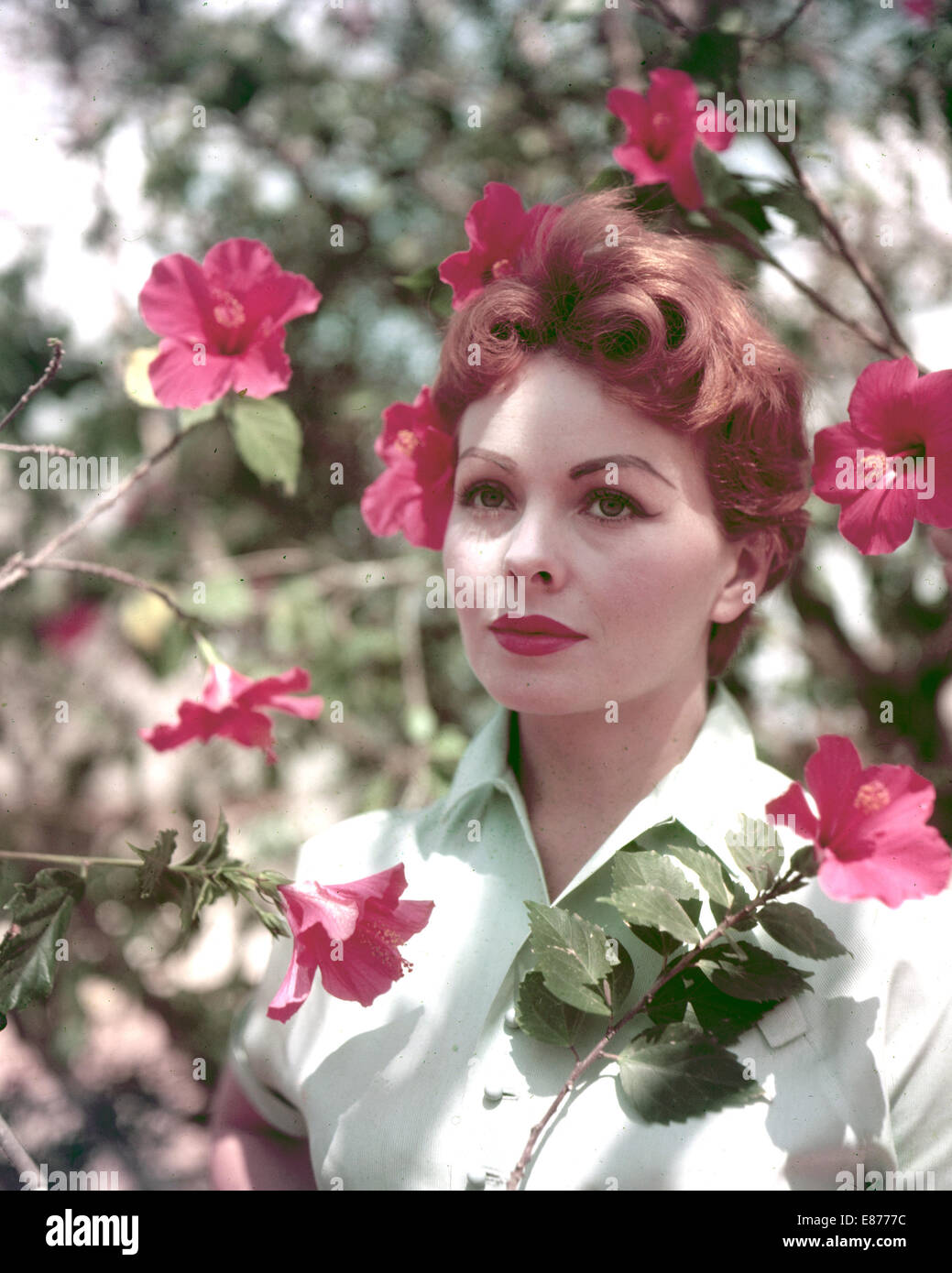 Jeanne crain hi-res stock photography and images - Alamy