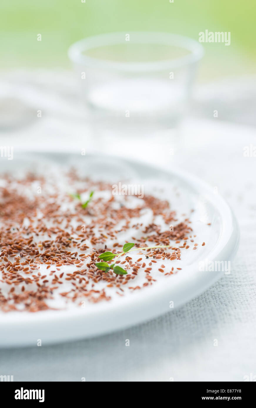 Poznan, Poland, cress seeds Stock Photo - Alamy