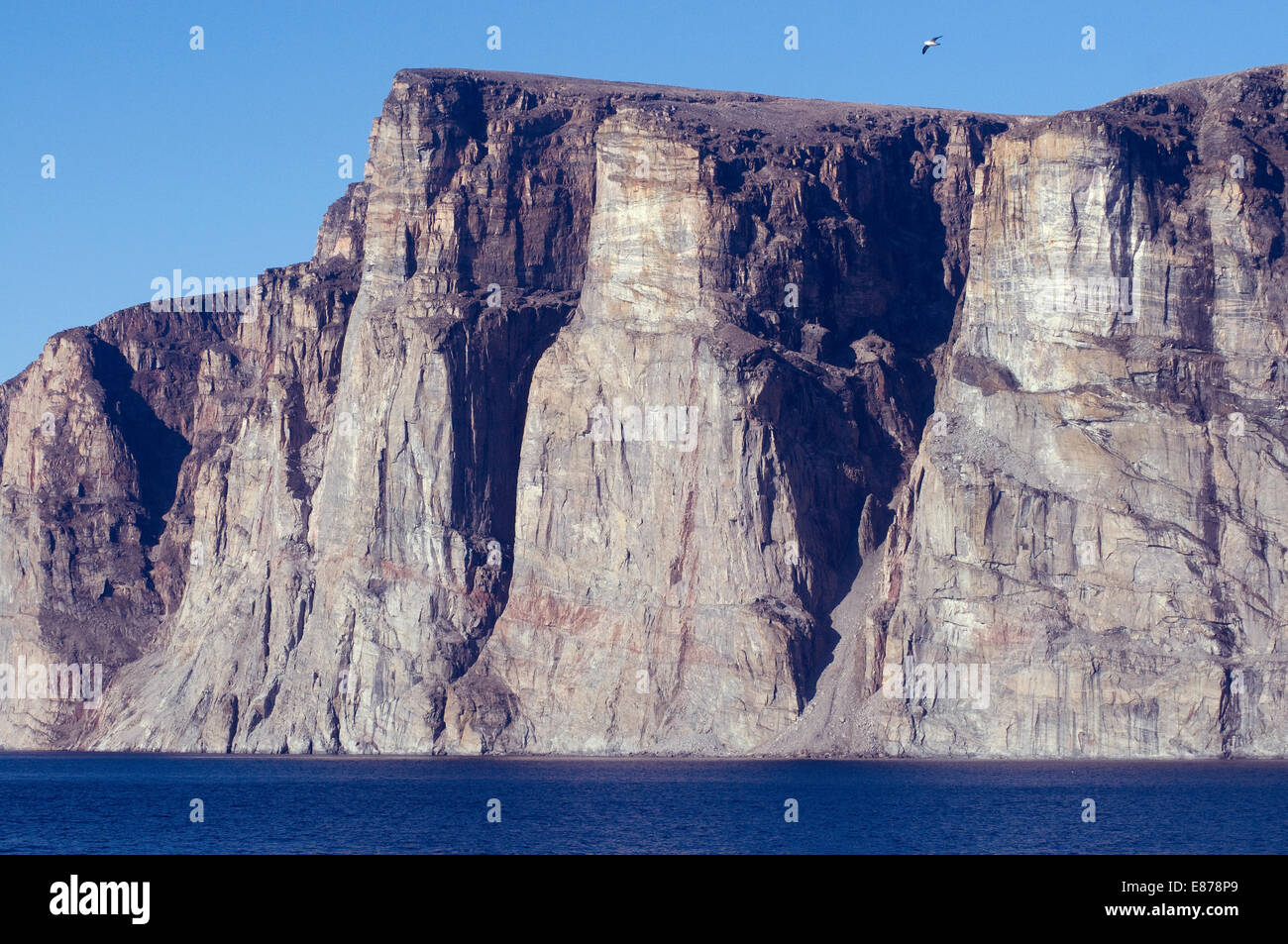 Within Gibbs Fjord on the Arctic's Baffin Bay are cliffs millions of ...