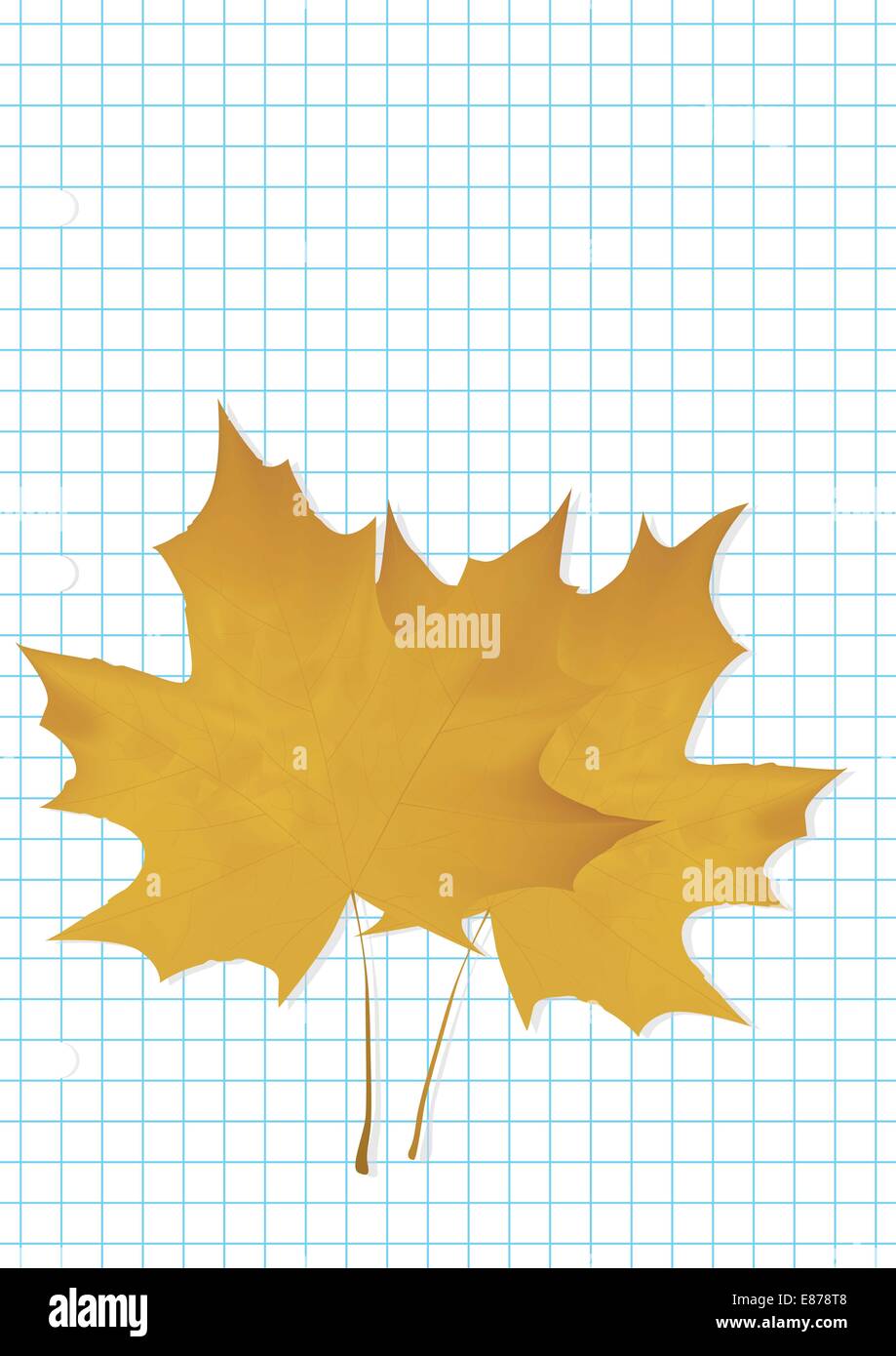 The illustration, maple leaf lies on a notebook Stock Photo - Alamy