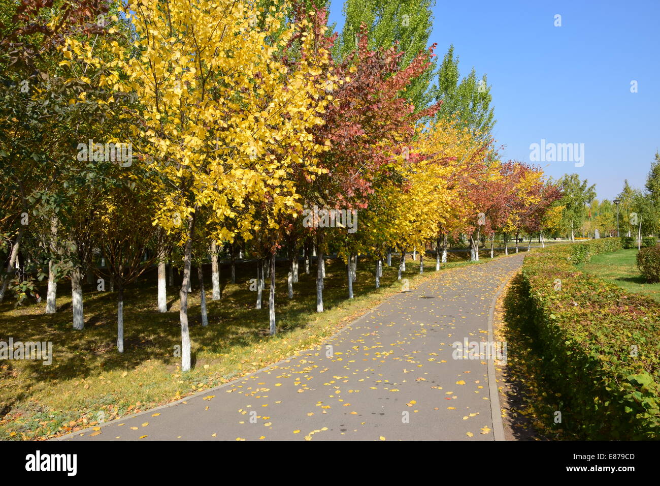 Curved images hi-res stock photography and images - Alamy