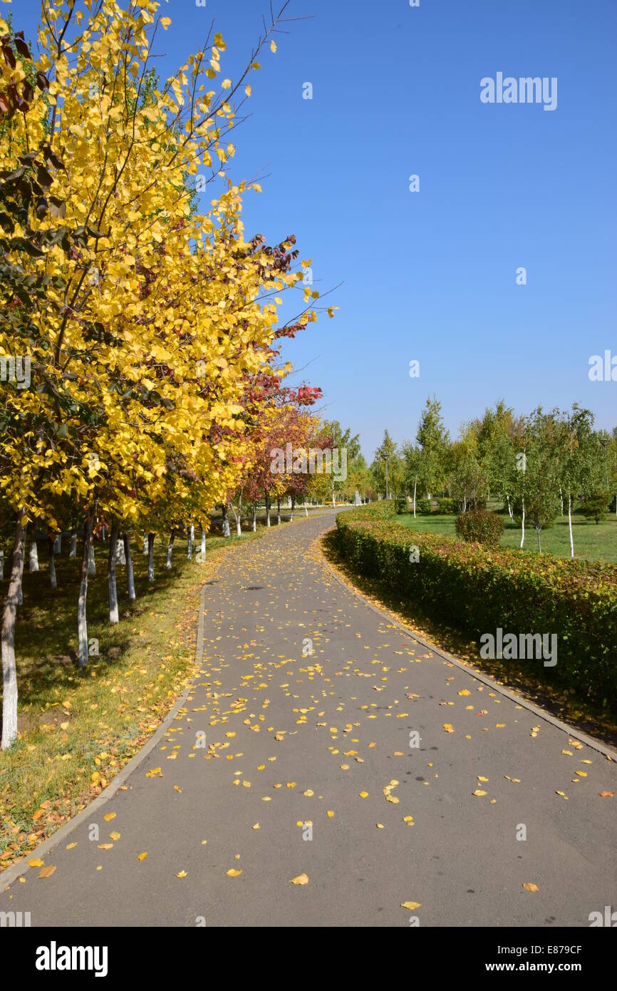 Curved images hi-res stock photography and images - Alamy