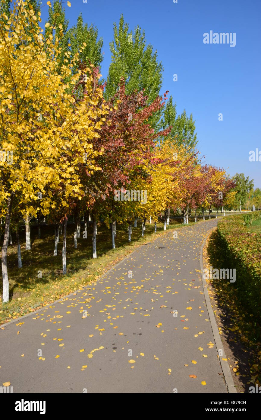 Day time photo in fall hi-res stock photography and images - Alamy