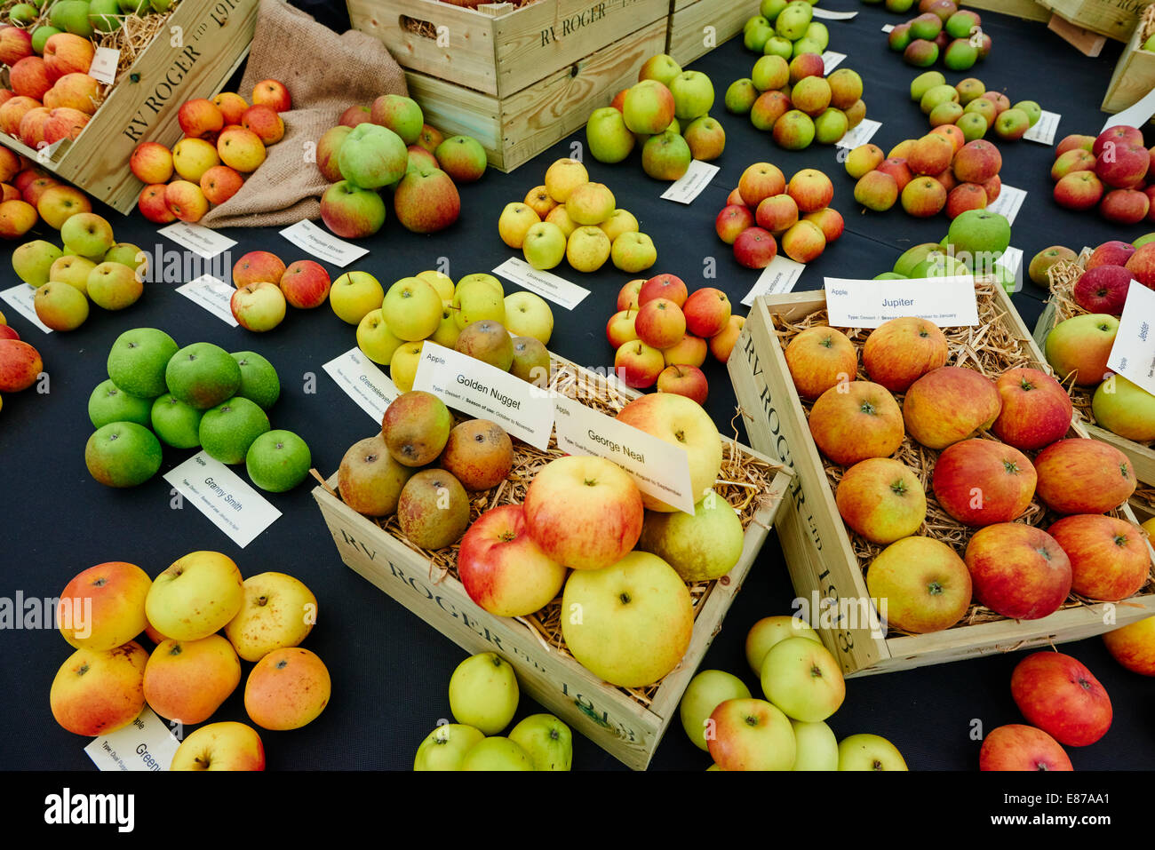 Different Apples Types Of On Display At The Malvern Autumn Show ...