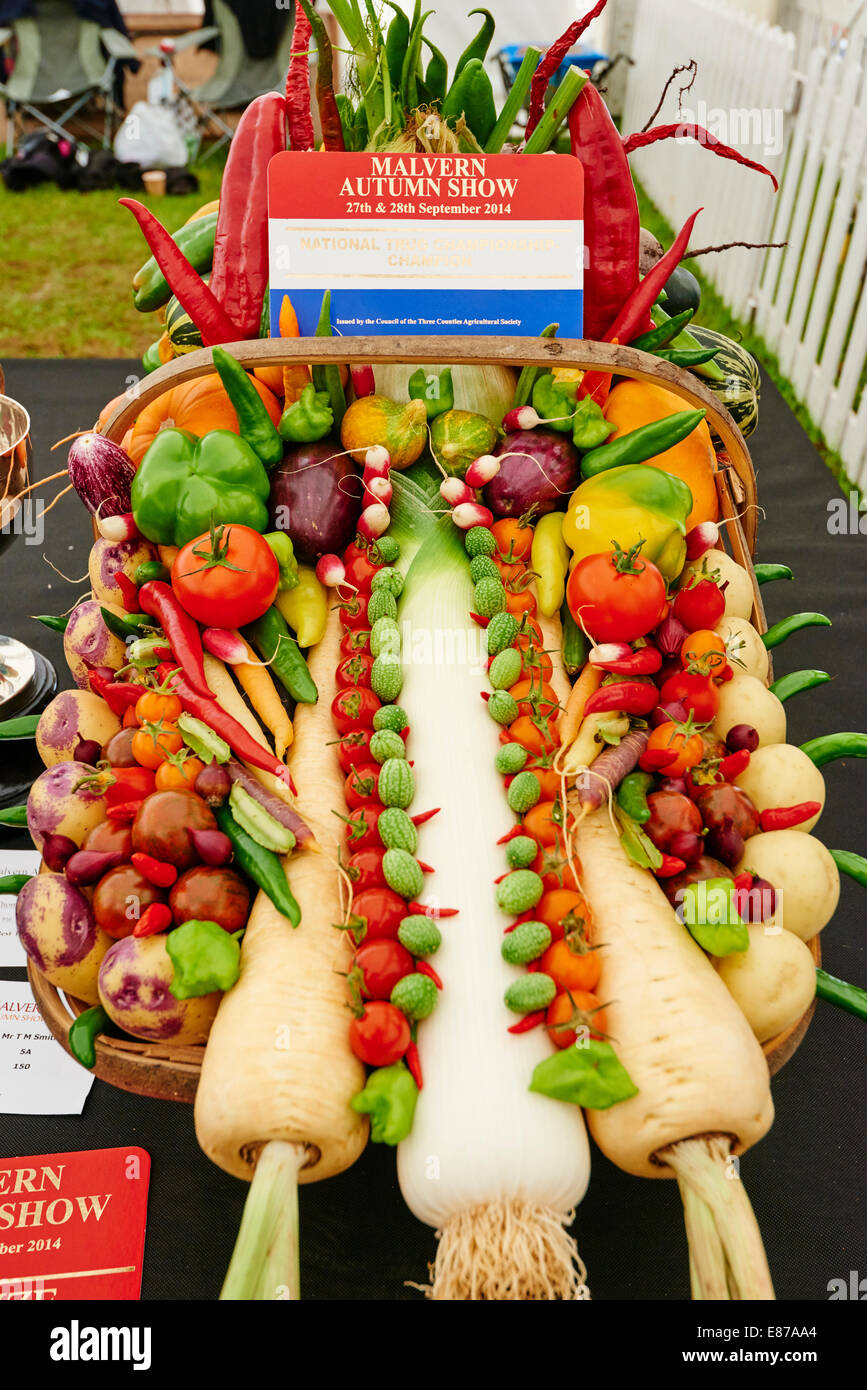Prize winning vegetables hi-res stock photography and images - Alamy