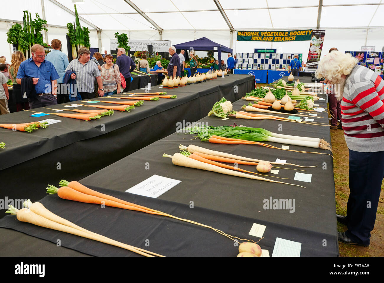Prize Winning Vegetables On Display At The Malvern Autumn Show ...